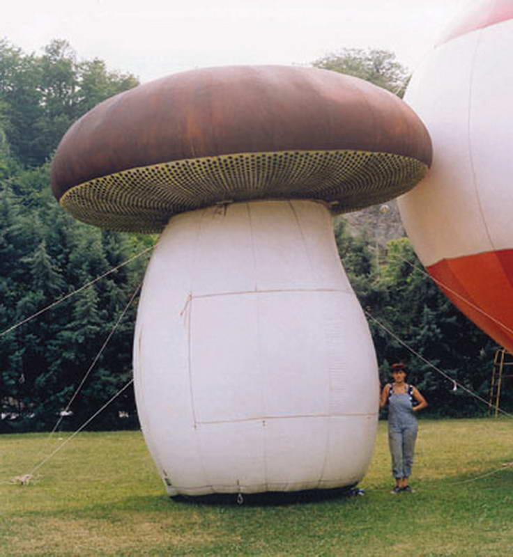 Giant Inflatable Special Shapes | Shapes & Product Replicas | Catalogue ...